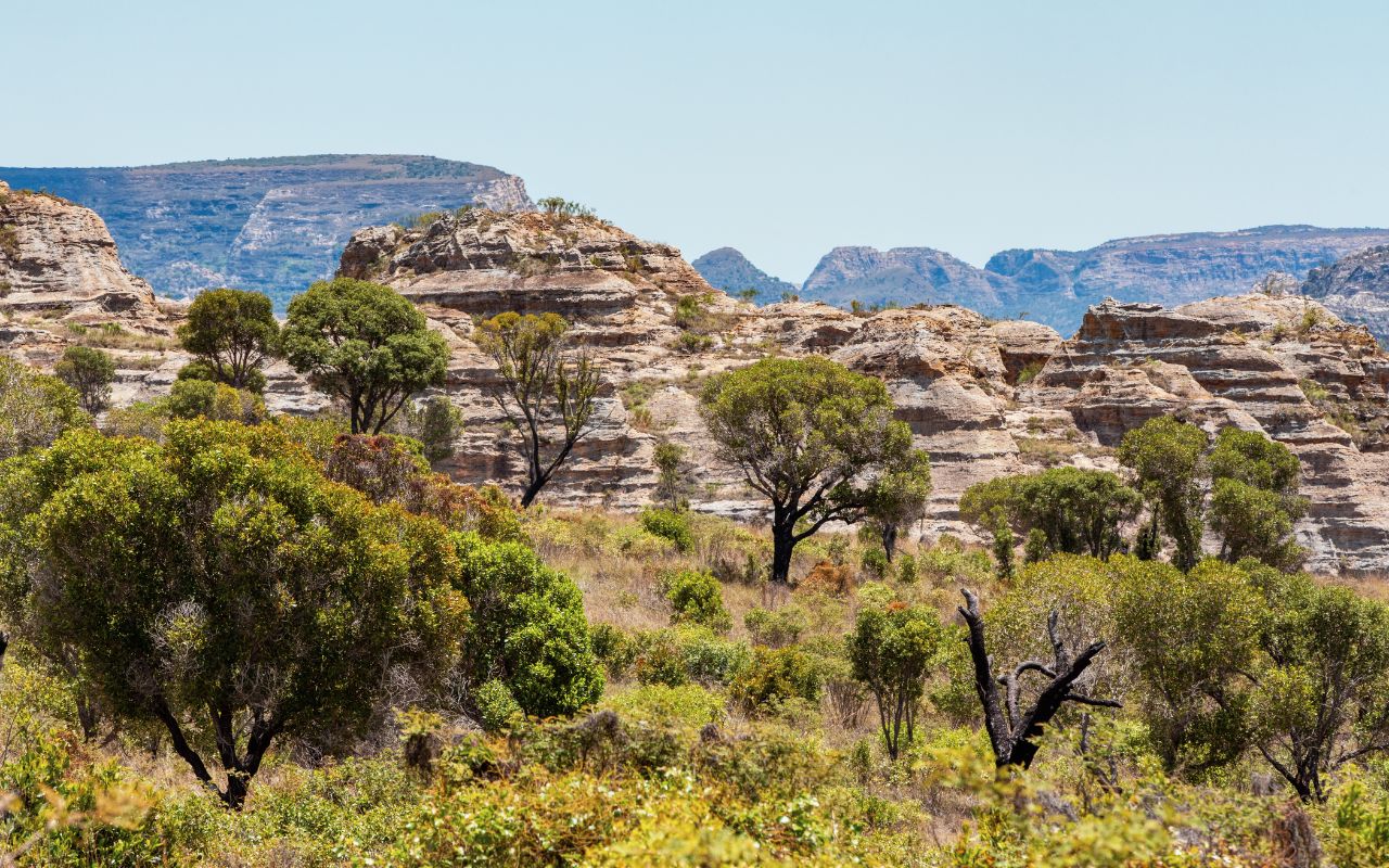 Les 10 parcs nationaux incontournables de Madagascar - La petite valise ...